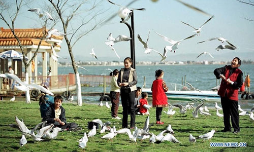 Harmonious coexistence between human and nature-China Story